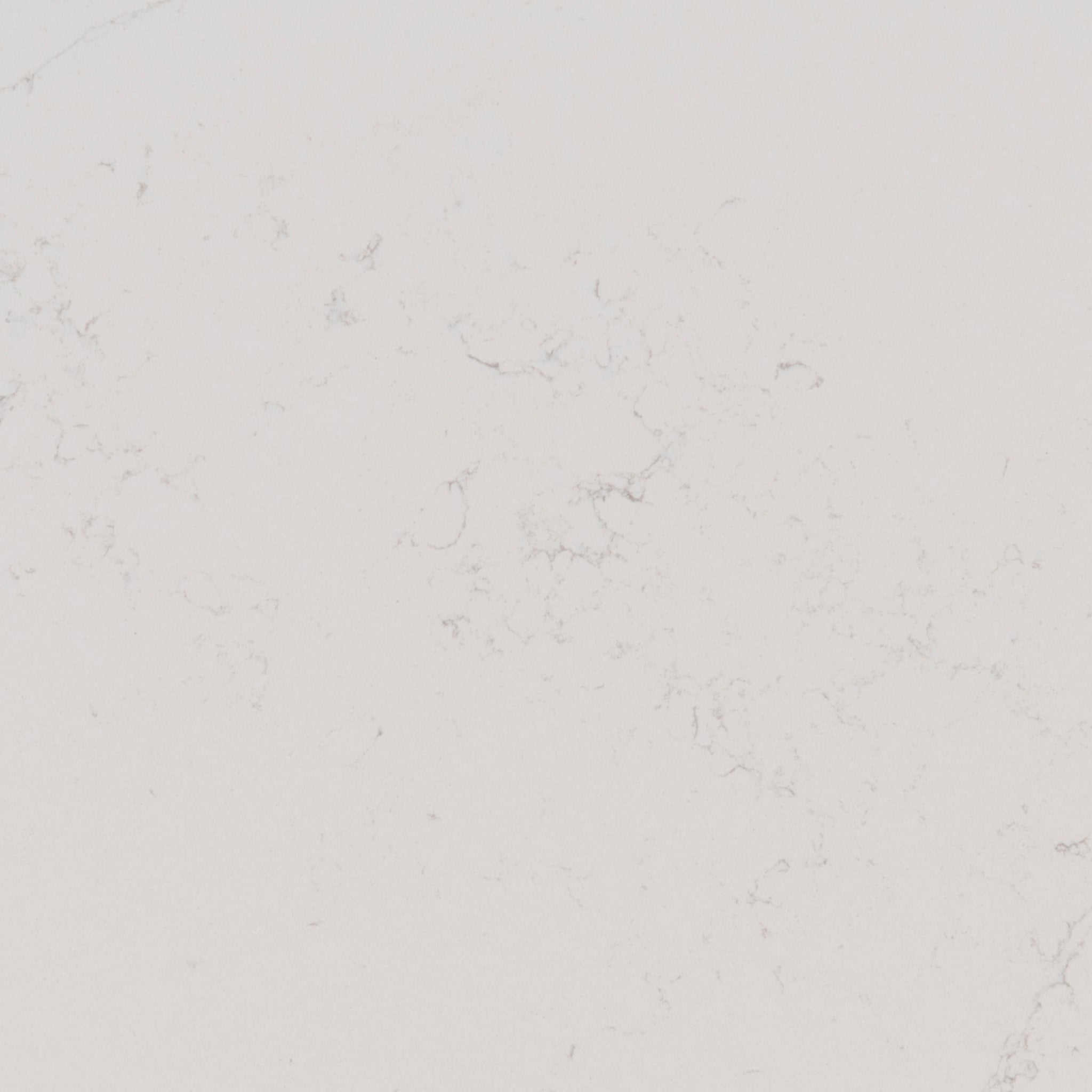 Calacatta Botanica - Premium Quartz Countertops | FabQuartz – FabQuartz ...